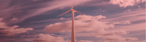 Success Stories | Diagonal Consulting